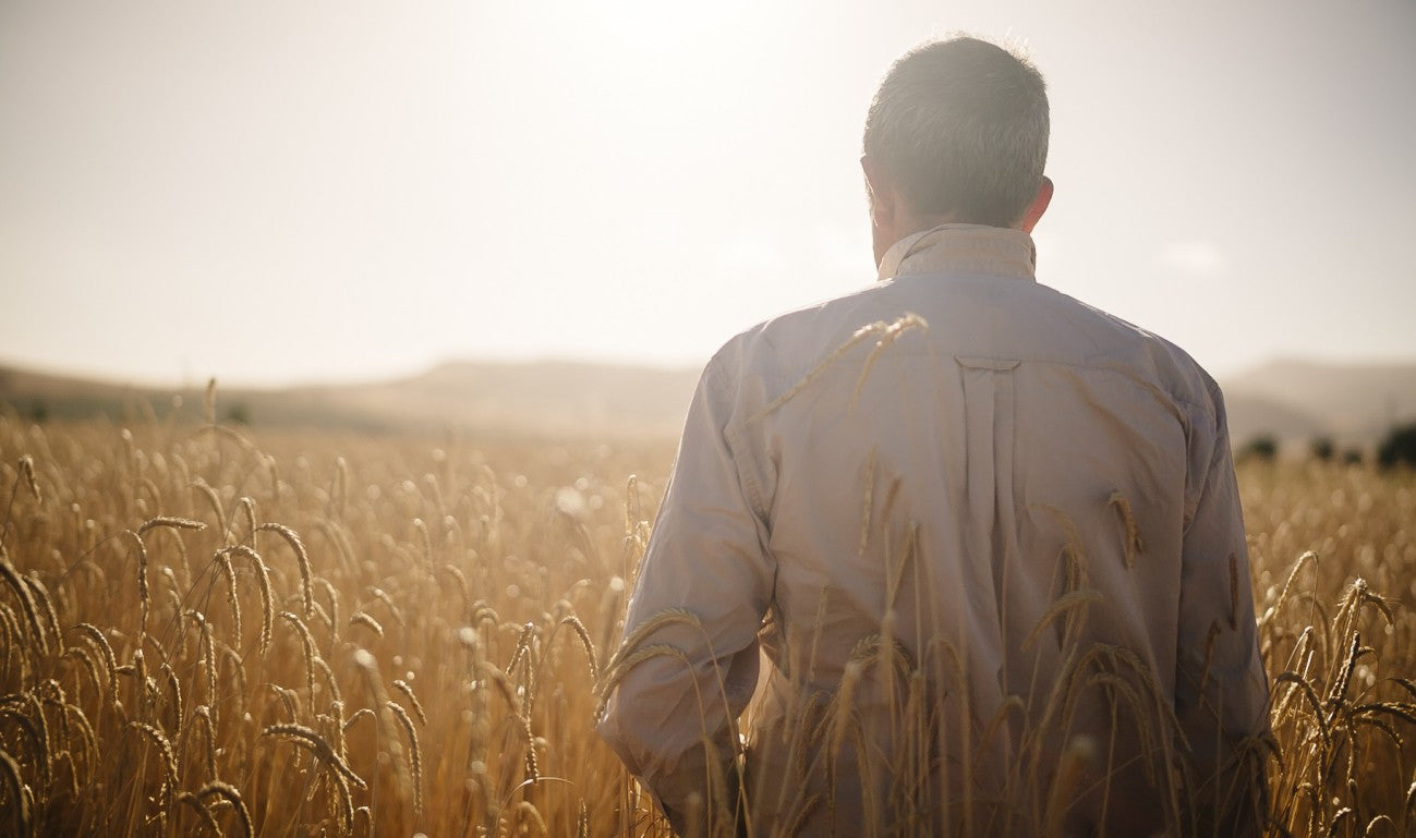 Belgrove Distillery - Rye Whisky made in Tasmania